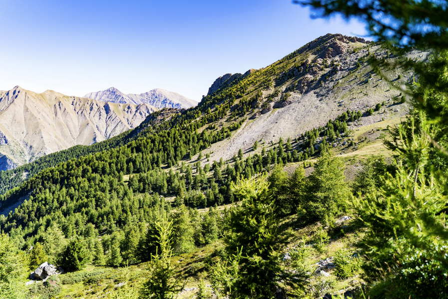 Col de Terre Rouge - Pic du Boussolenc_Les Orres